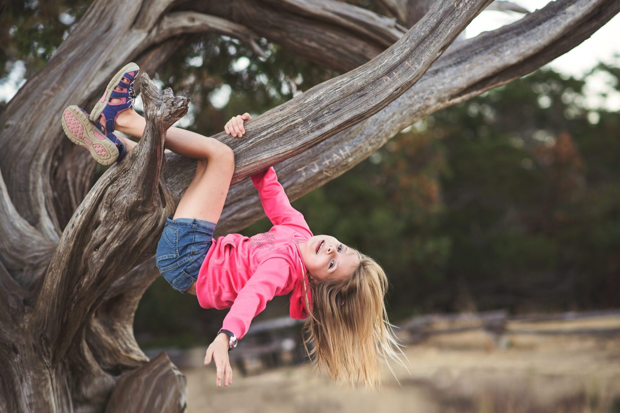 The magic of movement still really matters in our digital world ...